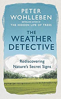 The Weather Detective: Rediscovering Nature’s Secret Signs – Ruth ...